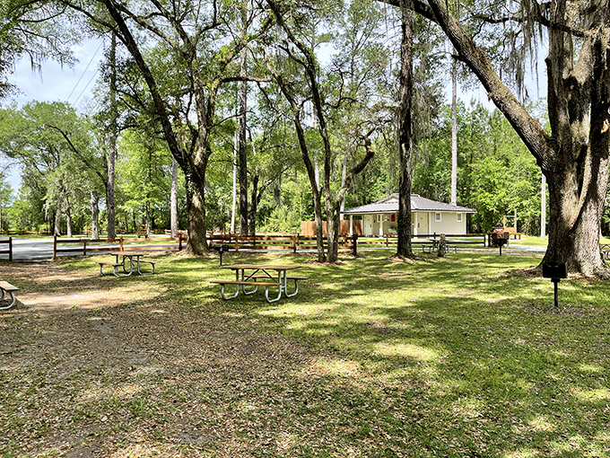 Picnic tables under ancient oaks dripping with Spanish moss&mdash;lunch with a side of Old Florida atmosphere that no restaurant could possibly replicate.