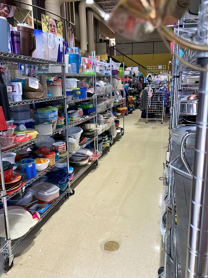 Kitchen container heaven! One person's abandoned Tupperware collection becomes another's organizational salvation. Meal prep has never looked so affordable.