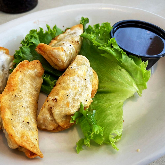 Not just a cream puff—a structural marvel of pastry engineering holding impossibly light cream and crowned with chocolate and whipped cream.