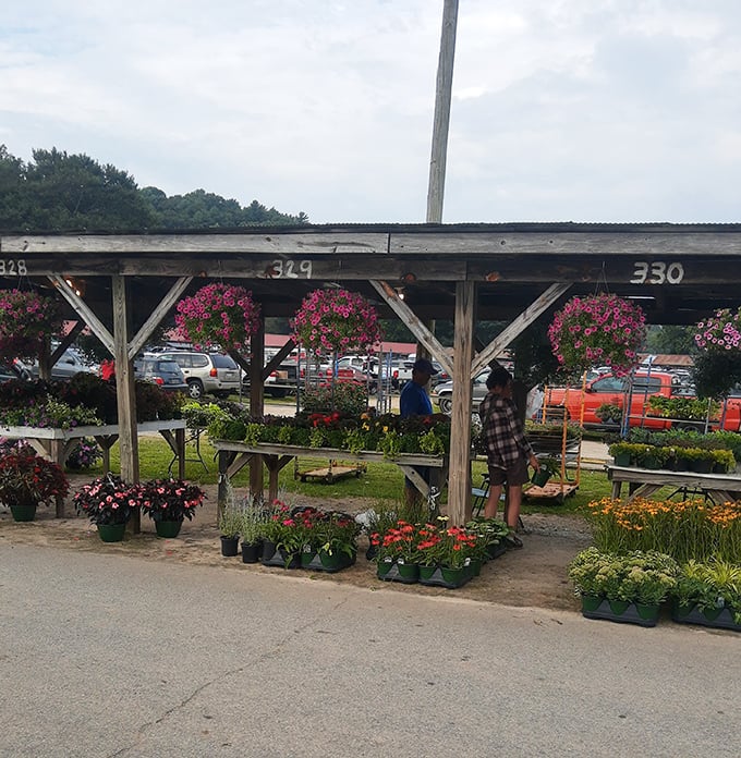 Garden dreams in plastic pots. These hanging baskets and flowering plants transform the market into a temporary greenhouse of possibilities.