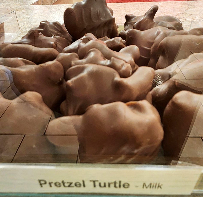 Pretzel Turtles: where sweet meets salty in a dance so perfect it deserves its own Broadway show.