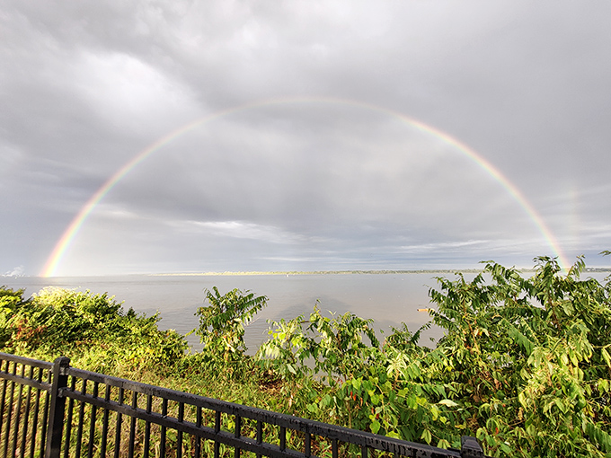 Mother Nature showing off again with a perfect rainbow arc. Even the most jaded city dweller would pause their podcast for this spectacle.
