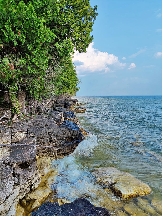Where forest meets water in a dramatic rocky shoreline. The crystal-clear waters reveal Lake Michigan's secrets while gentle waves create nature's perfect soundtrack.