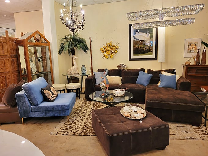 The chocolate sectional and blue accent chair aren't just furniture&mdash;they're relationship counselors helping couples compromise on style decisions daily.