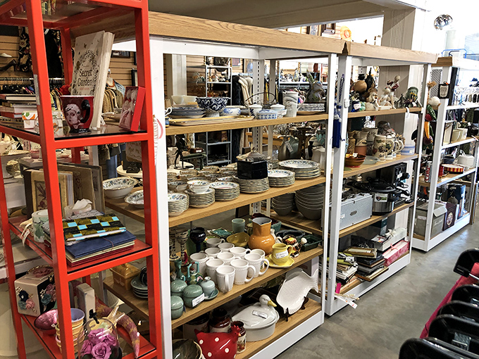 Kitchen essentials and home treasures create a domestic archaeology exhibit where functionality meets nostalgic charm.