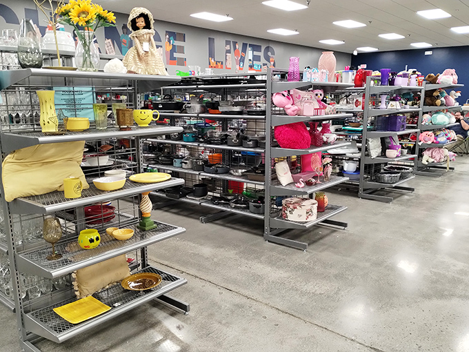 A rainbow of household treasures organized with surprising precision. From quirky figurines to practical necessities, each shelf offers new possibilities.