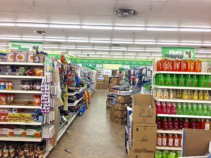 Aisle after aisle of possibility! The Dollar Tree's well-organized shelves create a treasure map where X marks the spot for budget-conscious Michigan shoppers.