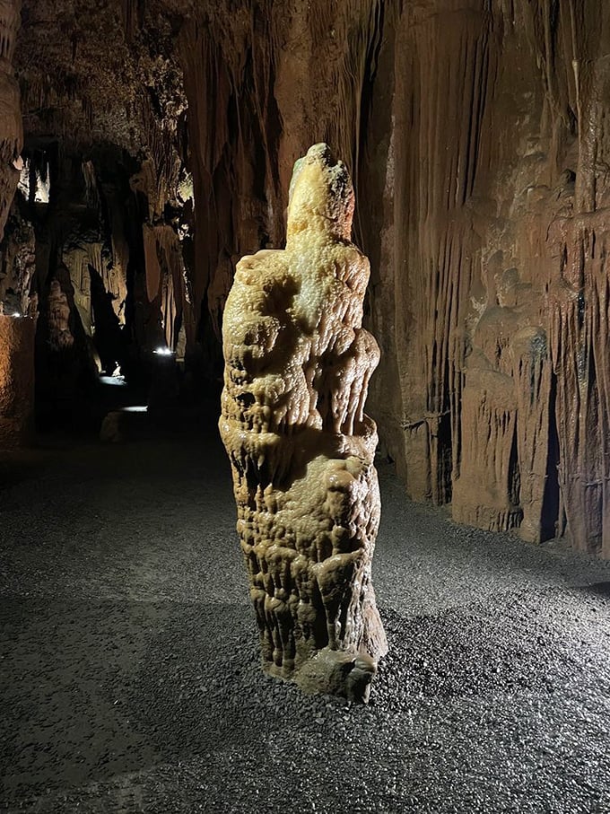 Standing sentinel in the darkness, this massive formation took thousands of years to create&mdash;nature's patience on magnificent display.