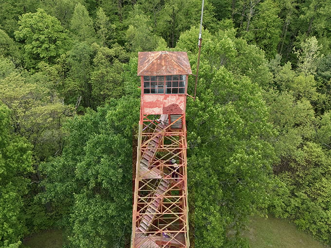 The fire tower stands sentinel above the forest canopy. Those brave enough to climb are rewarded with views that make wobbly knees worthwhile.