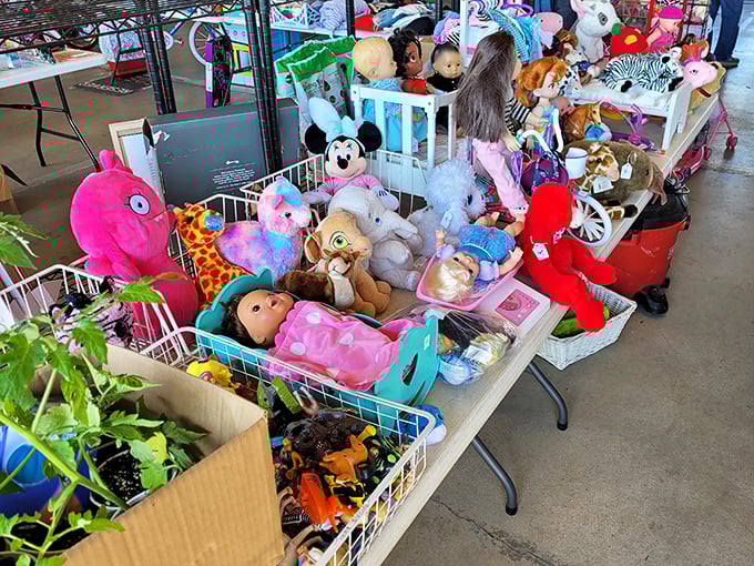 Stuffed animal adoption center or toy sanctuary? These plush friends wait patiently for new homes while silently judging your shopping choices.