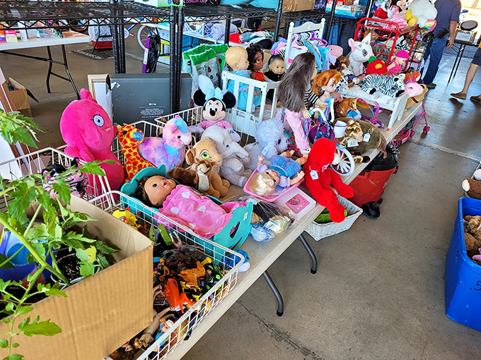 Stuffed animal adoption center where forgotten toys find new homes and childhood memories are just waiting to be made.