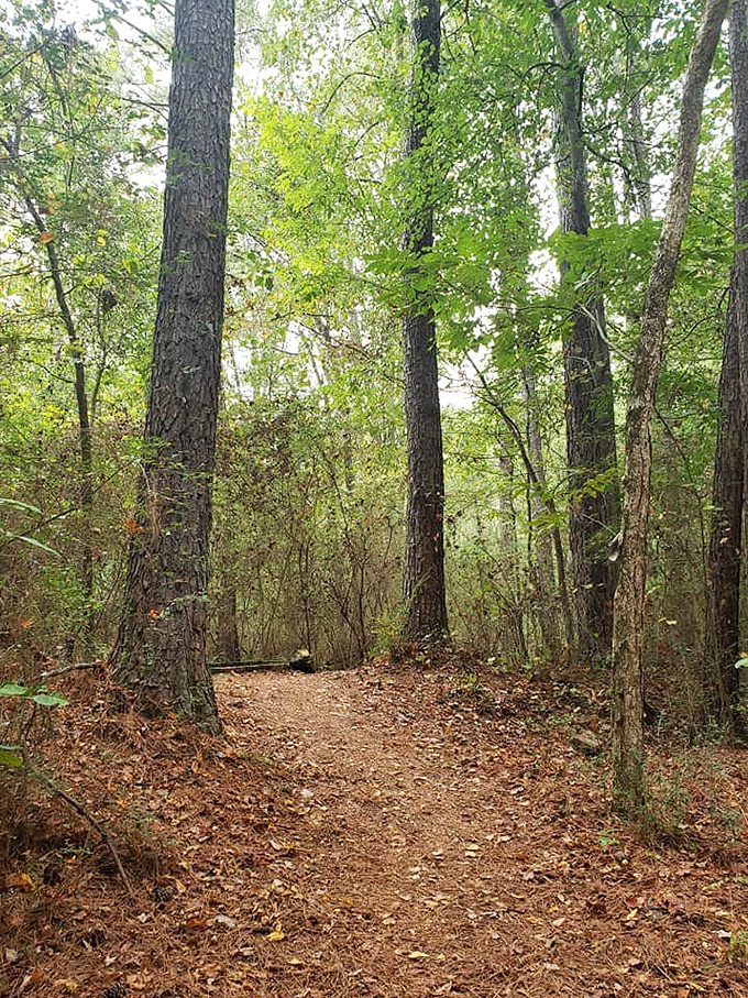 Between the creepy installations, peaceful forest paths remind you that you're still in a nature preserve, not just an outdoor art gallery.