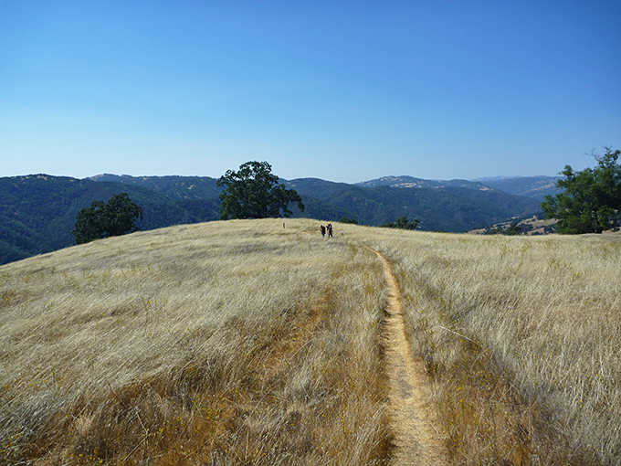 Golden hills roll toward the horizon where hikers appear as tiny specks, reminding us how gloriously insignificant we are in nature's grand theater.