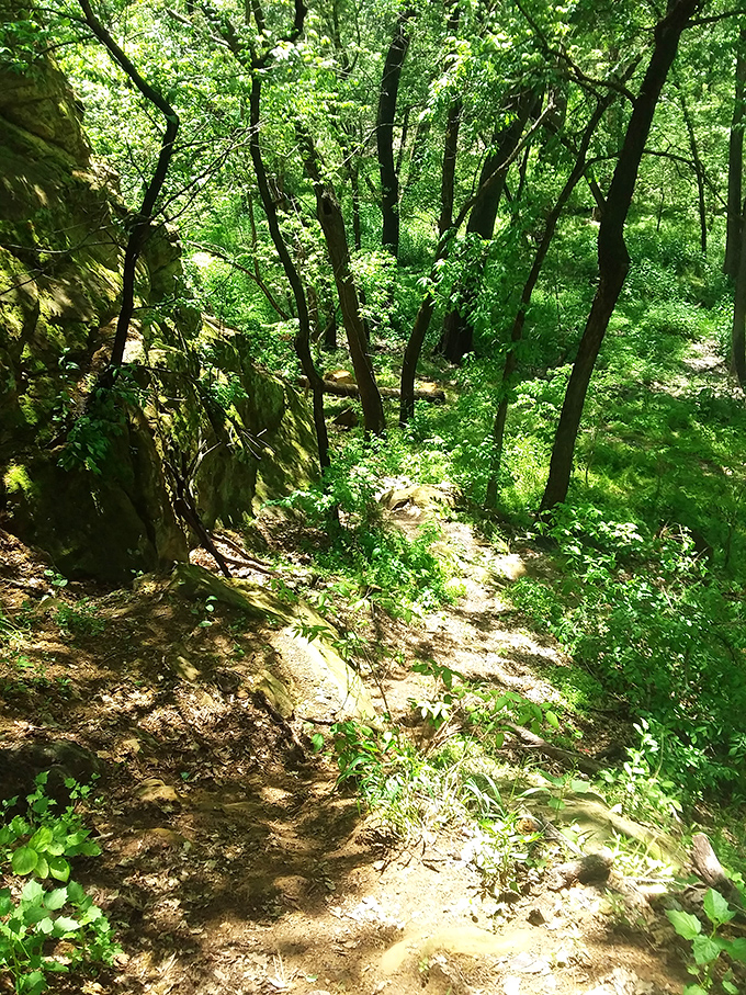 Sunlight dapples this woodland path, creating a natural spotlight guiding adventurers toward hidden treasures nestled in the Kansas hillside.