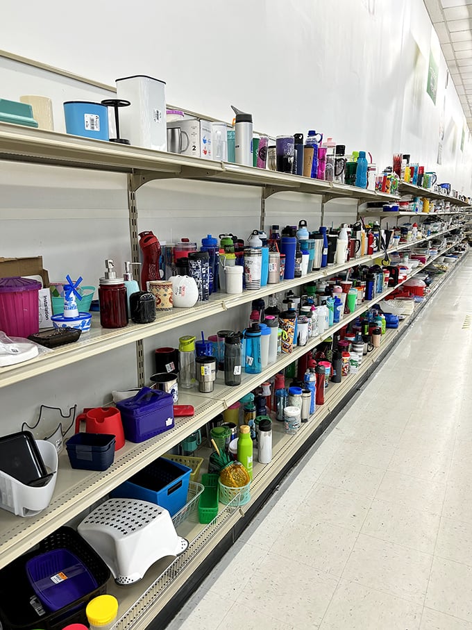 The water bottle and tumbler section could stock a small army of hydrated hikers&mdash;proof that one person's cupboard cleanout is another's matching set.