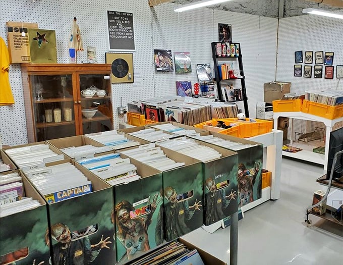 Vinyl treasure hunters, rejoice! These crates hold musical time capsules waiting to be rediscovered, from forgotten one-hit wonders to timeless classics.