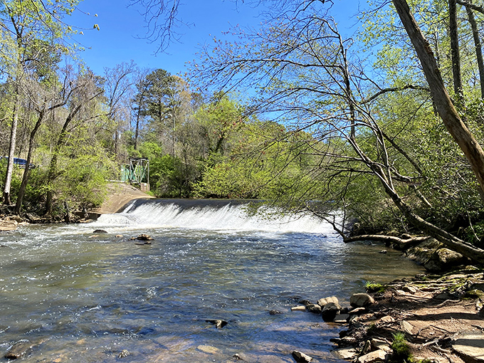 Water doesn't fall, it dances. This cascade performs its centuries-old choreography, a natural spectacle that never gets a bad review.