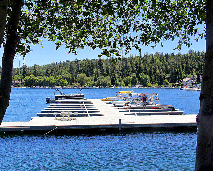Sunlight dapples through tree branches onto this wooden pier, where summer memories are made one cannonball at a time.