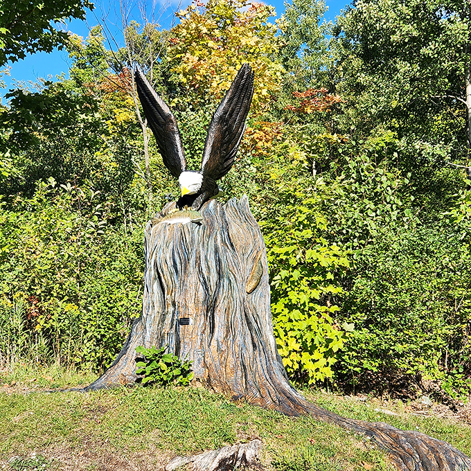 Aloha State Park's beach offers golden sands and gentle waves, proving Michigan can do "tropical paradise" without the airfare.