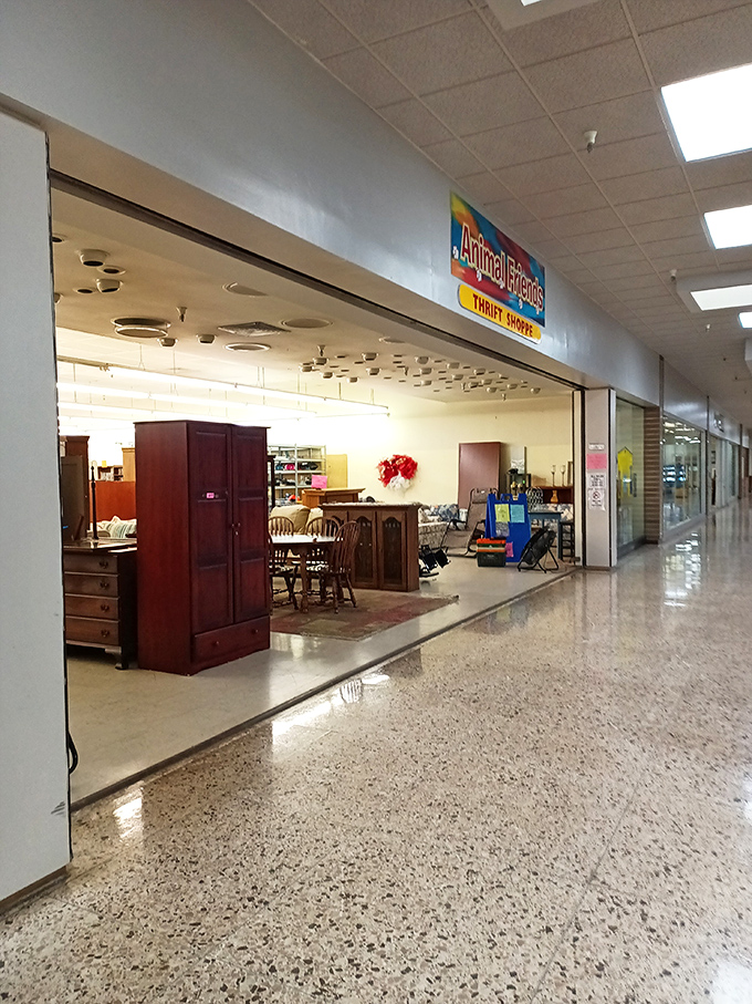 Mall thrifting at its finest! Animal Friends Thrift Shoppe proves you don't need a standalone building to house extraordinary bargains.