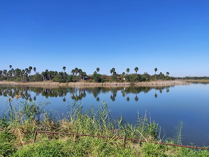 Tropical Texas? Bentsen-Rio Grande's palm-lined waters make you question your geography. No passport required for this exotic escape!