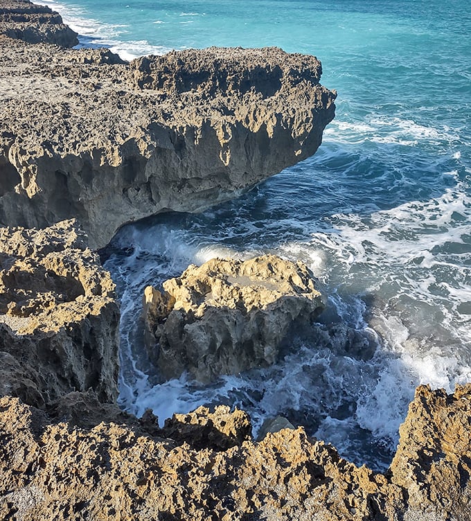 Blowing Rocks puts on a show when waves crash against limestone, sending water skyward like nature's own fireworks display.