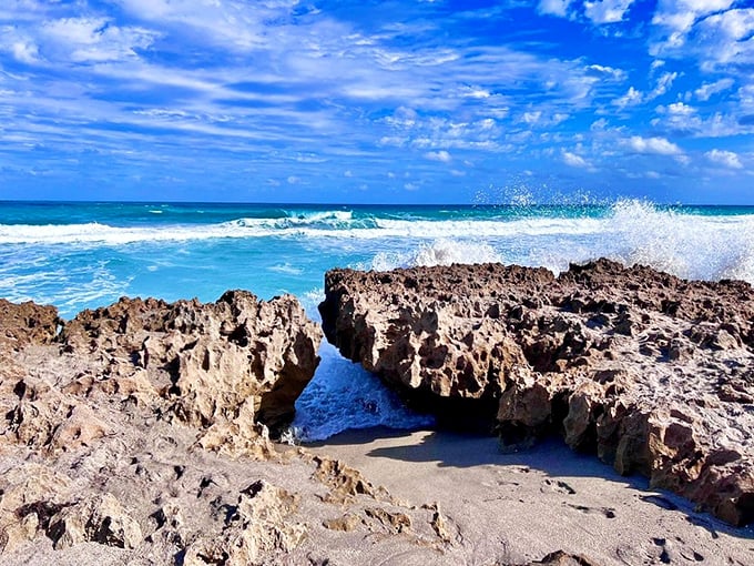 Nature's own wave machine at Blowing Rocks Preserve. The Atlantic Ocean meets limestone in a spectacular showdown that's worth getting a little wet for.