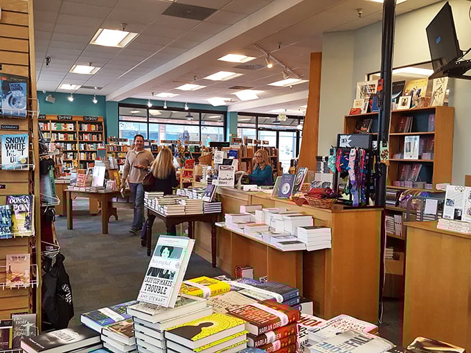 Book Passage's warm wooden shelves create a cozy sanctuary where readers can lose themselves between the pages.