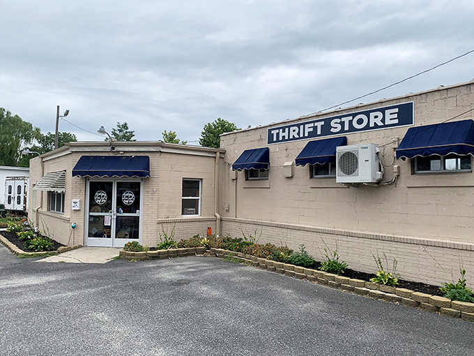 This unassuming building houses treasures that would make Indiana Jones swap his whip for a shopping cart.