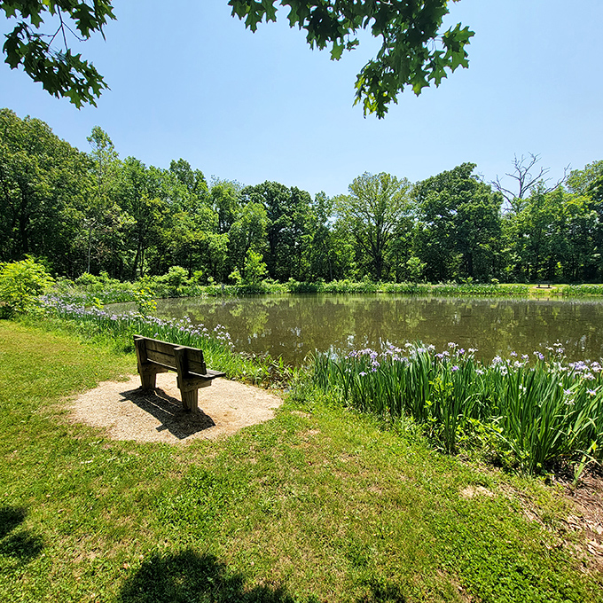 Secret garden vibes! Hidden Springs' peaceful pond comes complete with a perfect bench for watching dragonflies dance across the water.