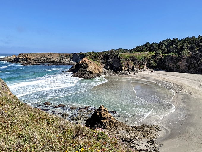 Rugged coastline meets crashing Pacific waves, where whale-watching beats any nature documentary you've ever watched.