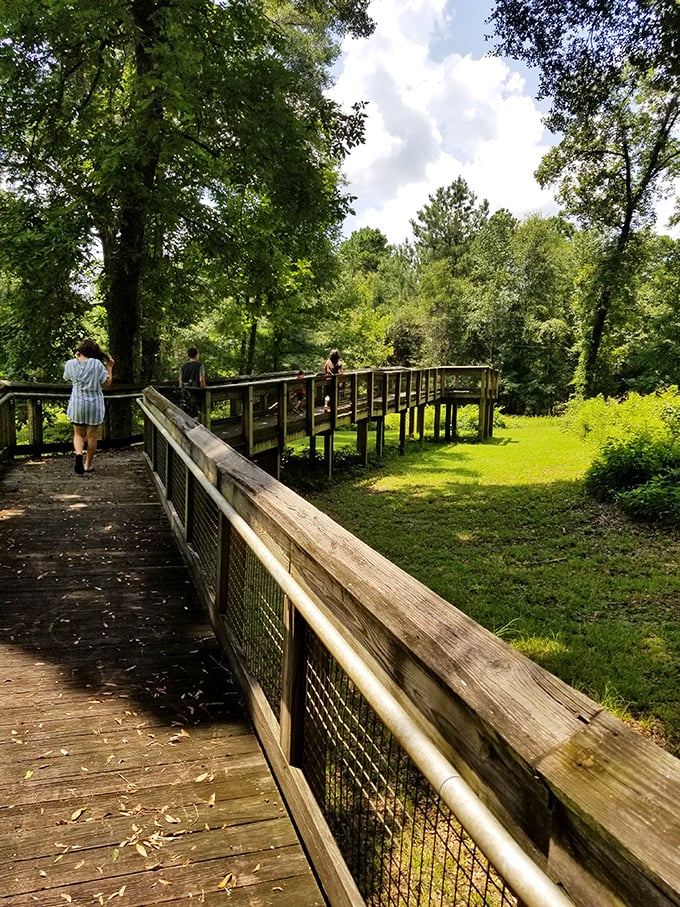Walking on air above nature's canvas. This elevated boardwalk at Letchworth-Love Mounds offers a bird's-eye view of history.
