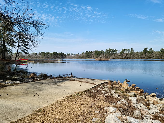 Little Pee Dee's cypress knees poking through tea-colored water &ndash; nature's version of modern art.