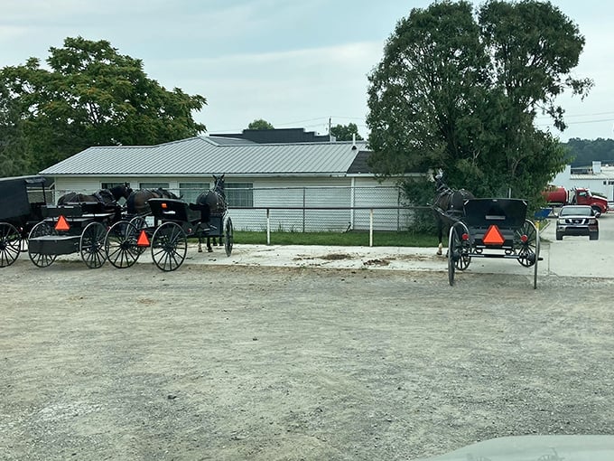 Downtown Mount Hope looks like a movie set, but it's the real deal. These historic buildings have stories to tell.