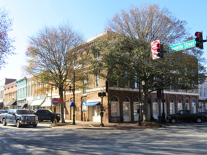 Newnan's charming storefronts invite you to explore without emptying your bank account. That tree provides shade for both you and your budget!