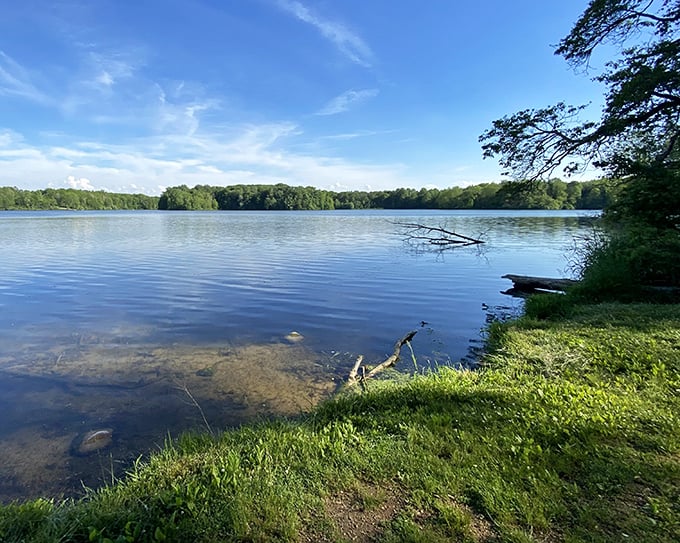 Potato Creek State Park's serene shoreline whispers stories of countless sunrises and sunsets. Time slows down here.