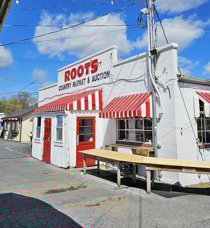 Classic charm! Roots Market's iconic white building with red awnings has welcomed generations of Pennsylvania bargain hunters.