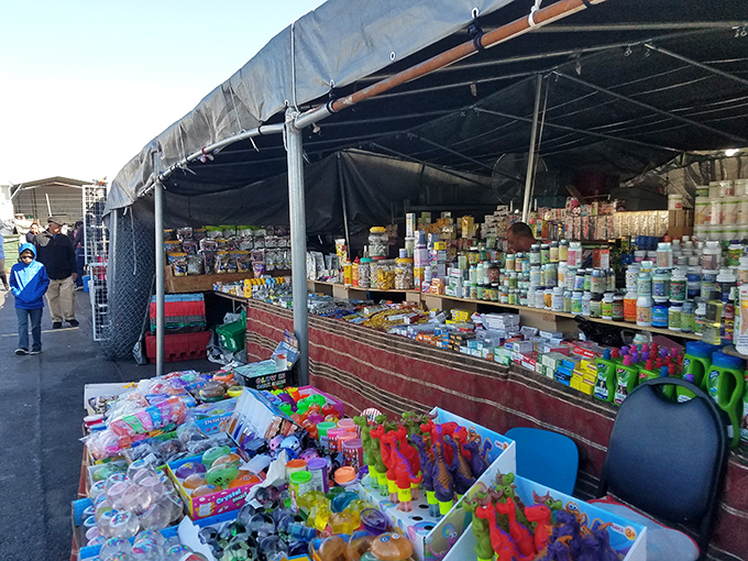 Toys, tools, and treasures as far as the eye can see. Stockton's answer to retail therapy comes with better prices!