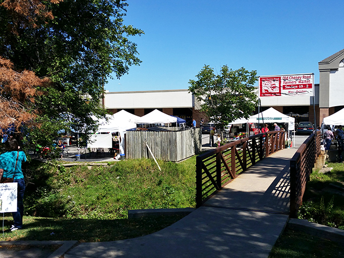 White tents line the pathway at College View Farmers' Market. The bridge offers the perfect vantage point for planning your attack!