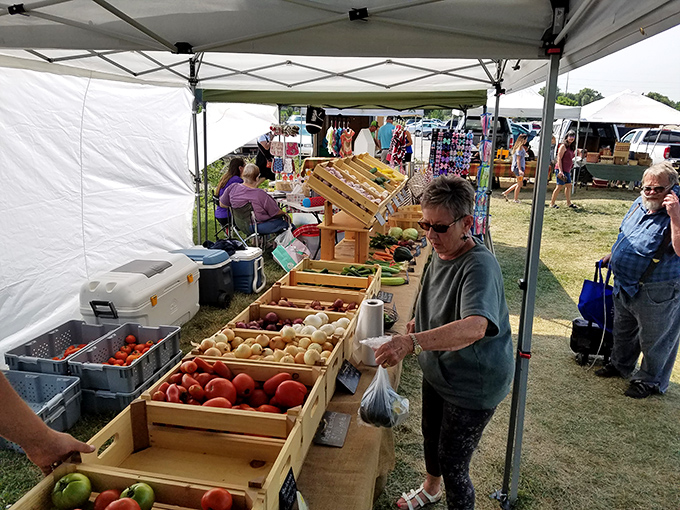 A rainbow of fresh produce awaits. Nothing beats the satisfaction of filling your bag with locally grown goodness.