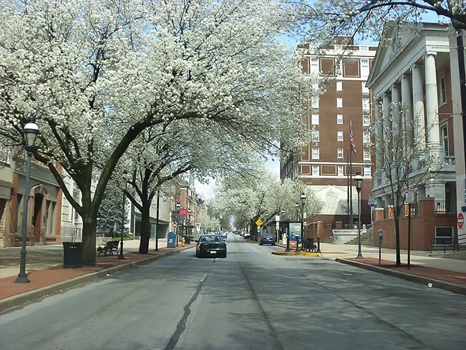 York's tree-lined streets offer that perfect small-town feel where you're never more than a wave away from a friendly neighbor.