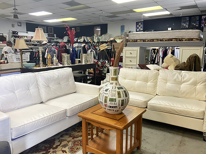 White couches that look like they've never met a spilled coffee &ndash; the unicorns of the thrift store world.