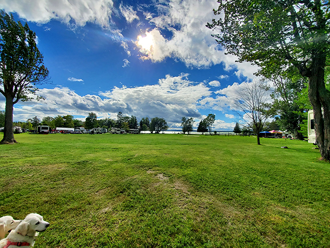 This eagle sculpture watches over Aloha State Park, carved from a tree stump&mdash;nature's way of recycling with artistic flair.