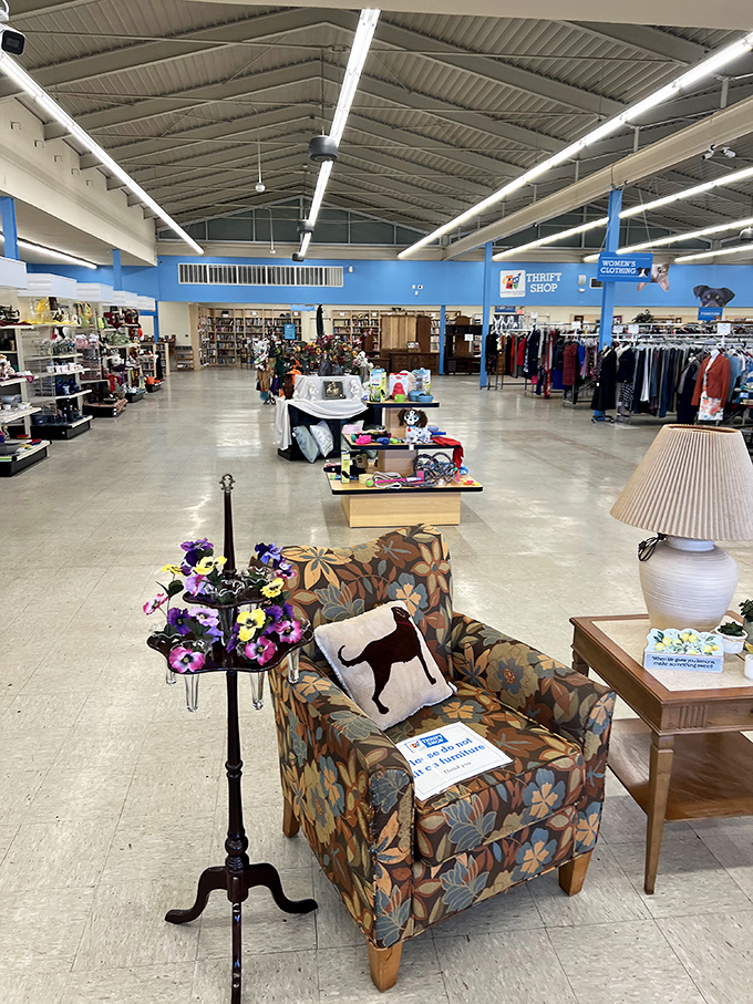 Brick facade, big mission. The Animal Humane Thrift Shop turns your treasure hunting into life-saving support for furry friends.