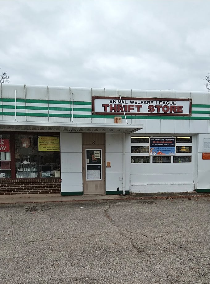 Don't let the modest storefront fool you &ndash; Animal Welfare League's thrift shop packs surprises in every corner.