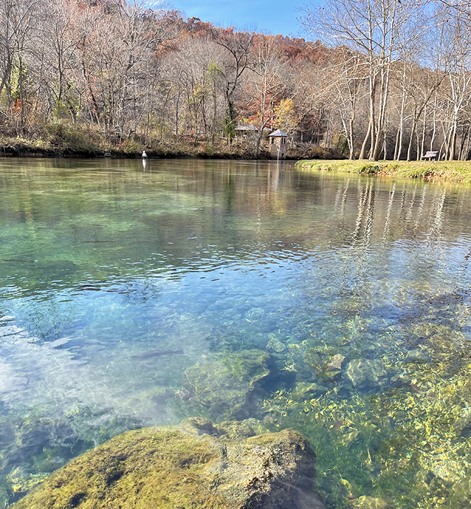 Fall colors frame Bennett Spring's crystal waters like nature's perfect painting. Even Monet would be jealous of this palette!