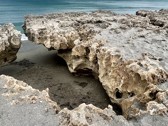 These dramatic rock formations look like they belong in a fantasy movie, not just off Florida's east coast.