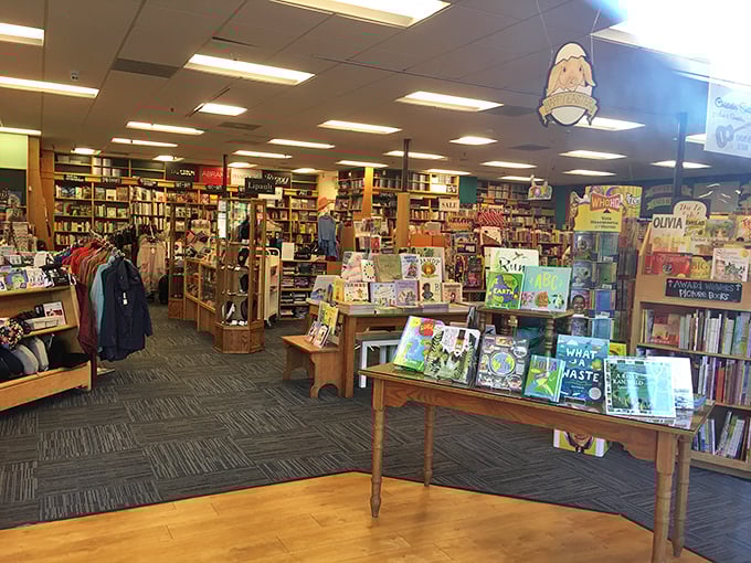 Sunlight streams through Book Passage's windows, illuminating carefully curated shelves that invite literary exploration.