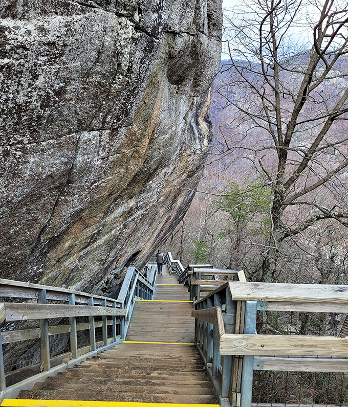 Massive rock faces tower above forest canopies. Nature's skyscrapers don't need building permits!