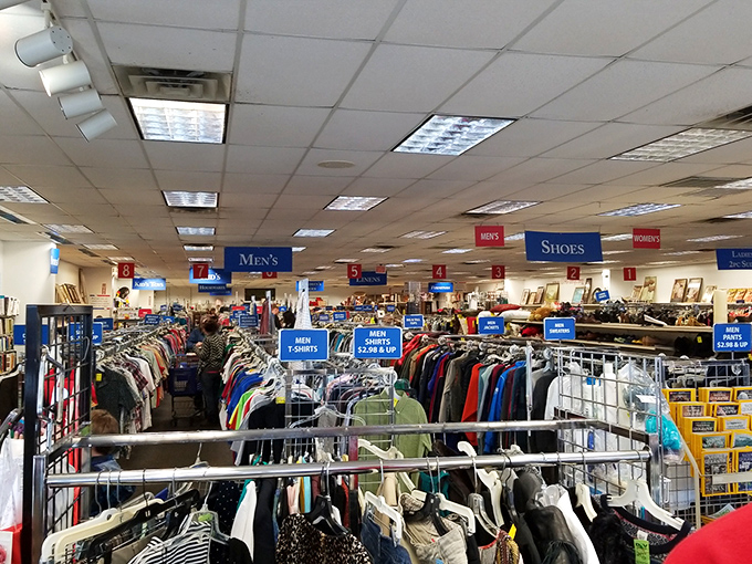 Inside DAV, the organized chaos of thrifting comes to life&mdash;each rack a potential gold mine of fashion finds.